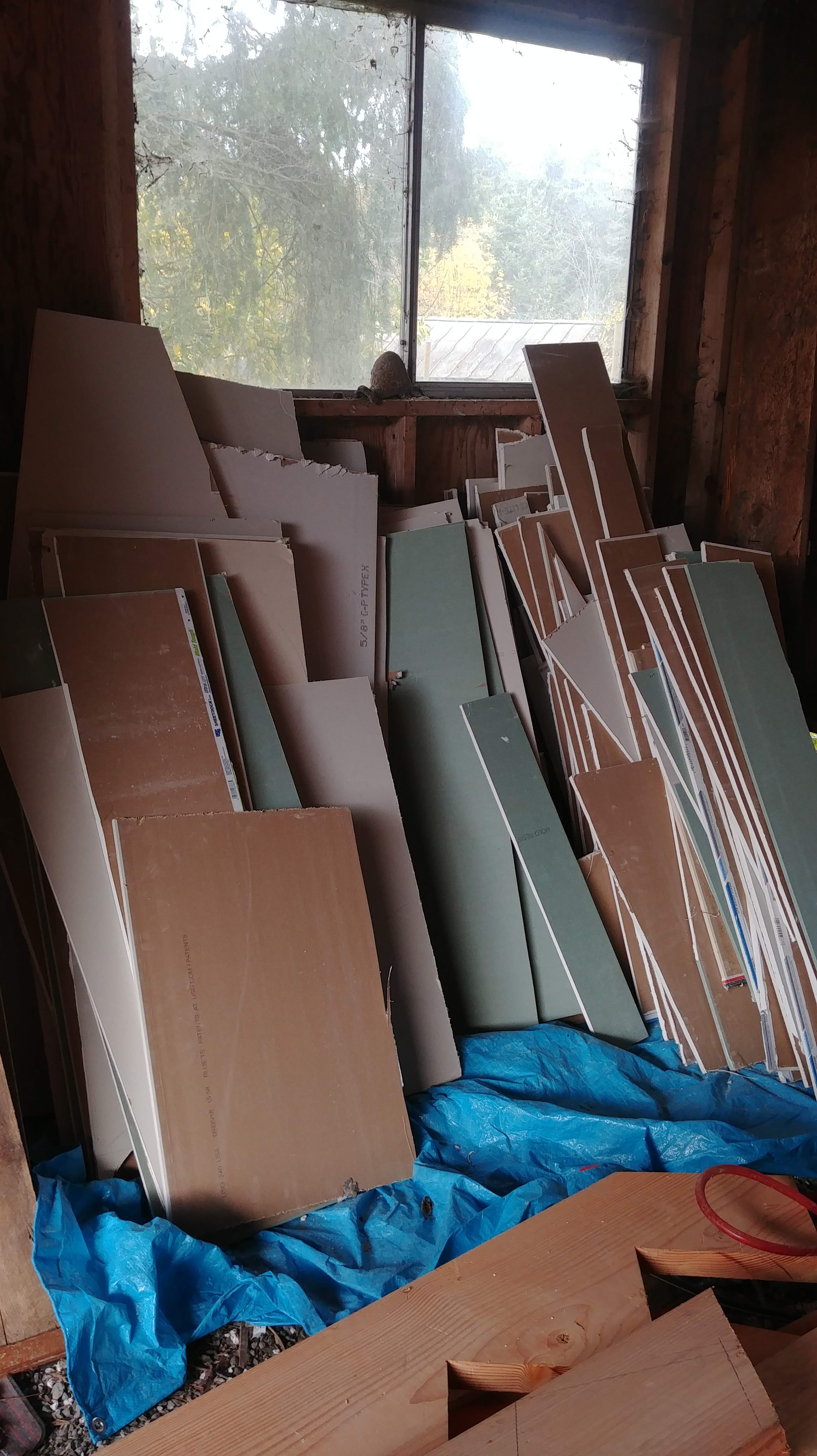 1026181506_HDR – Smart, Funny Julianne